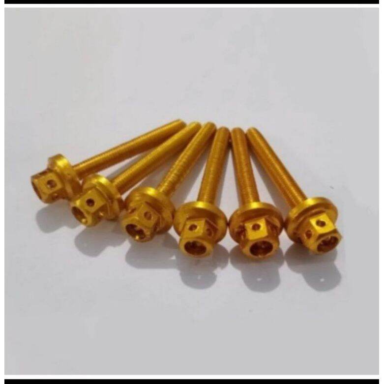 Baut Visor/ Baut Winshield Probolt Nmax Aerox Lexi ADV 4 Buah Baut ...