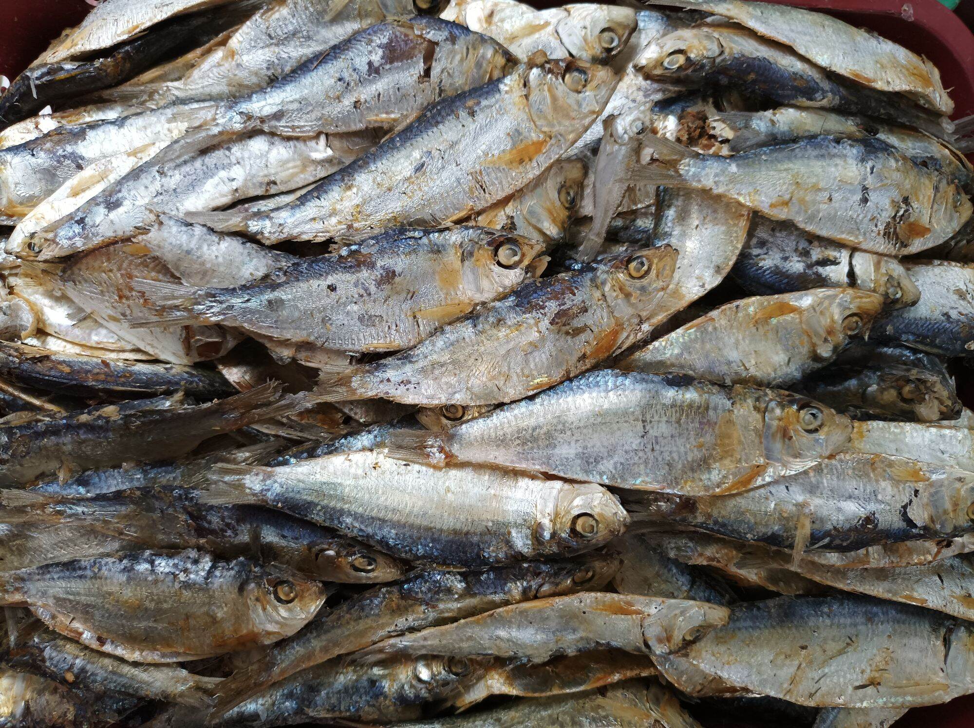 Ikan Asin Tanjan Rebus besar 250G | Lazada Indonesia
