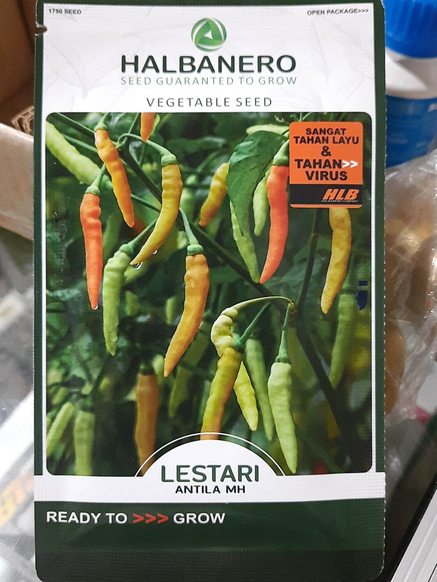 Benih Cabai Rawit LESTARI 10gr Antila MH Halbanero | Lazada Indonesia