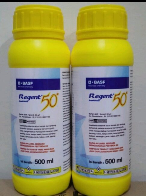 insektisida Regent 500ml BASF | Lazada Indonesia