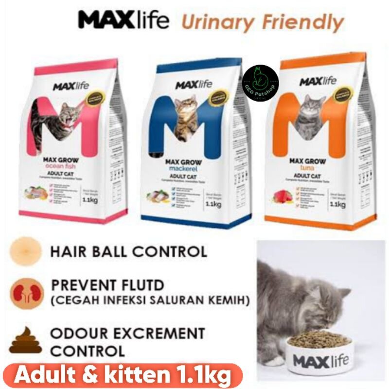 MAXLIFE Cat Food 1.1kg All Varian Urinary Care Adult Kitten Max Life ...