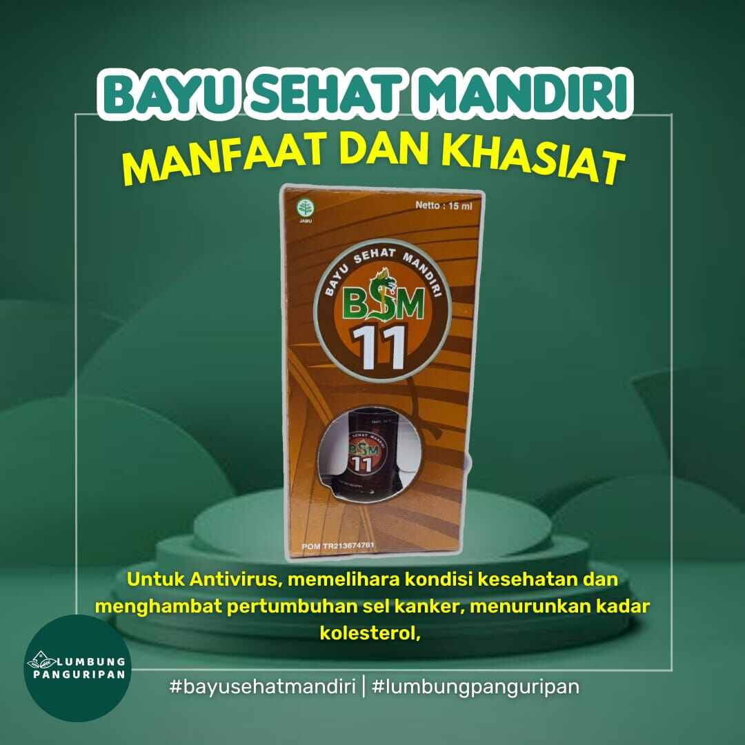 Bayu sehat mandiri BSM 11 | Lazada Indonesia