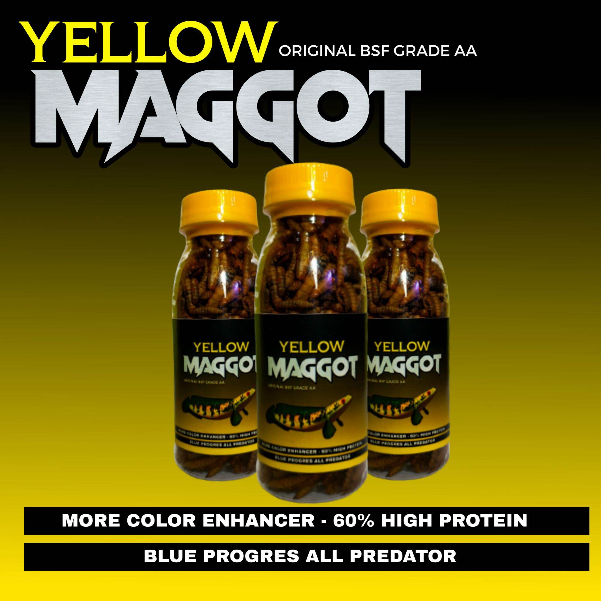 Yellow Maggot Maggot Kering Kemasan Botol 100 ml | Lazada Indonesia