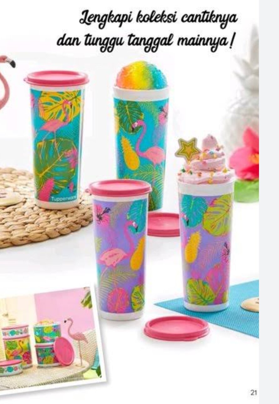 Gelas Minum Tupperware Flaminggo Tumbler 1 pcs | Lazada Indonesia