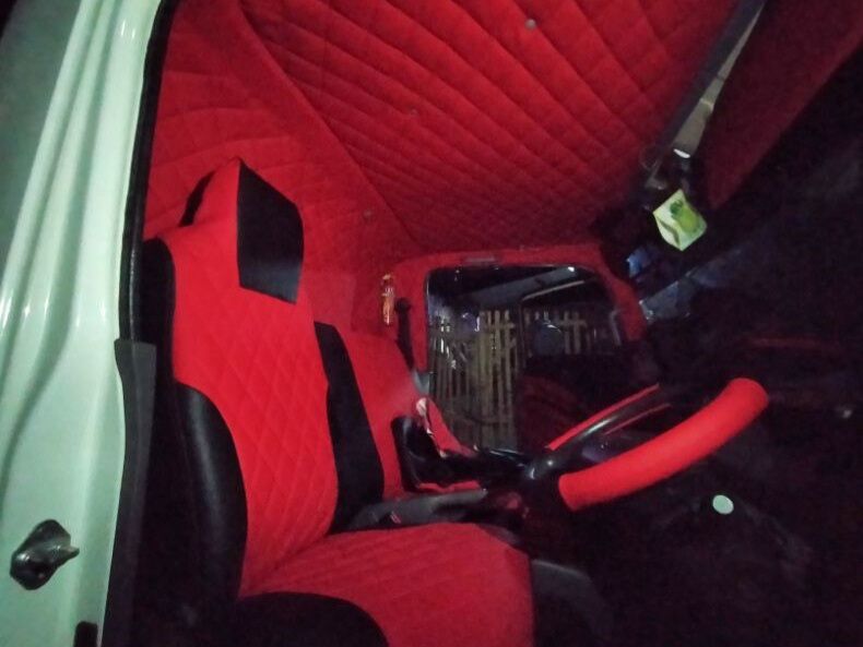 jok elf macan/warna hitam merah | Lazada Indonesia