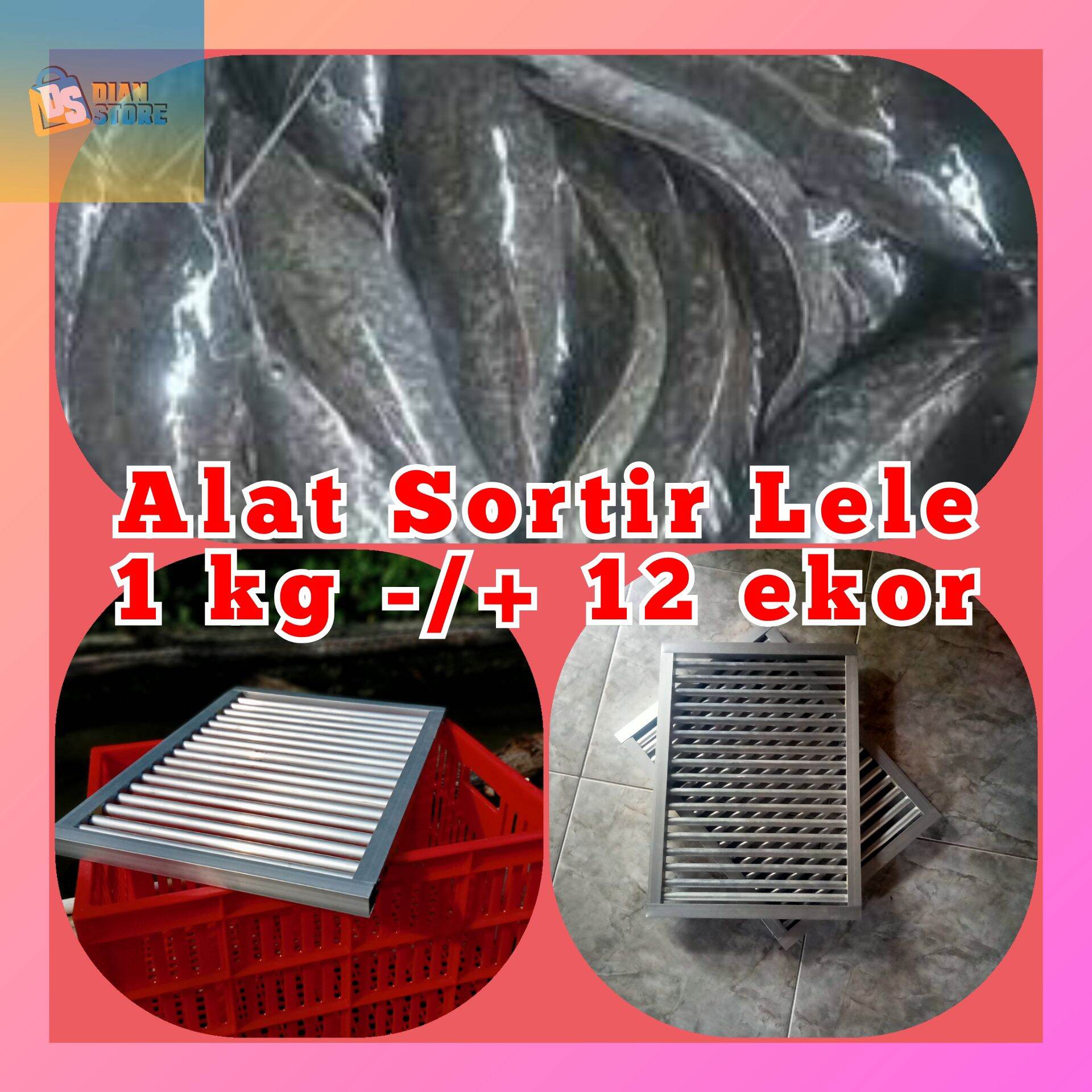 Ayakan Lele/Bak Sortir Ikan Lele - Alat Sortir lele 1kg -+ isi 12 ekor ...