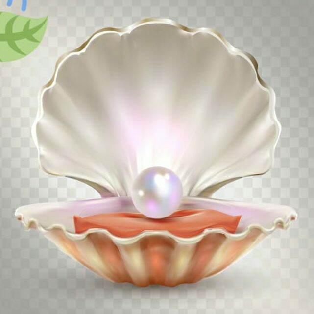 Toko Online Resmi Mutiara skincare shop | Lazada.co.id