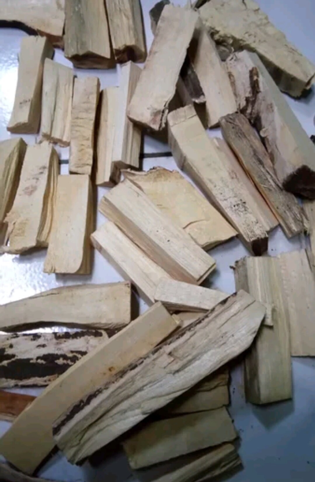 Kayu Pasak Bumi Herbal asli alami Kalimantan KPBK01 | Lazada Indonesia