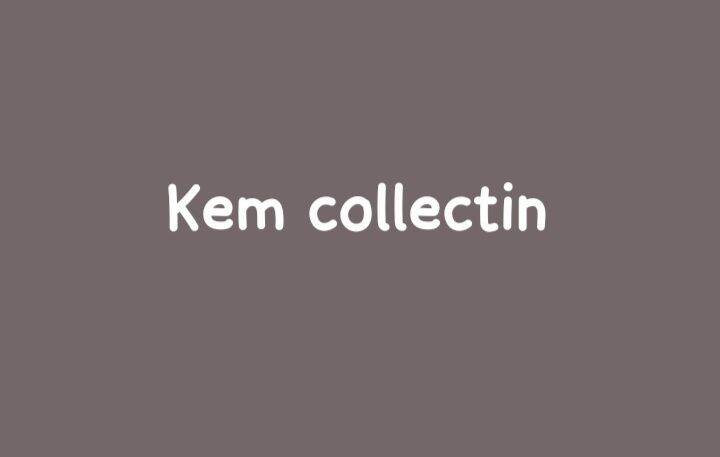 Toko Resmi Kem collection Online | Lazada.co.id