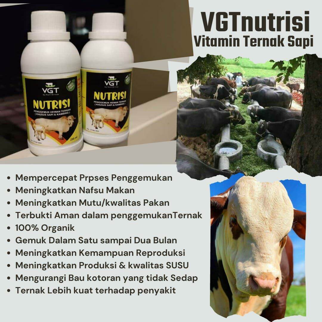 VGT Nutrisi All Varian Sapi Kambing Kerbau Kuda Kelinci Hamster Babi Ikan Udang Lonster Air ...