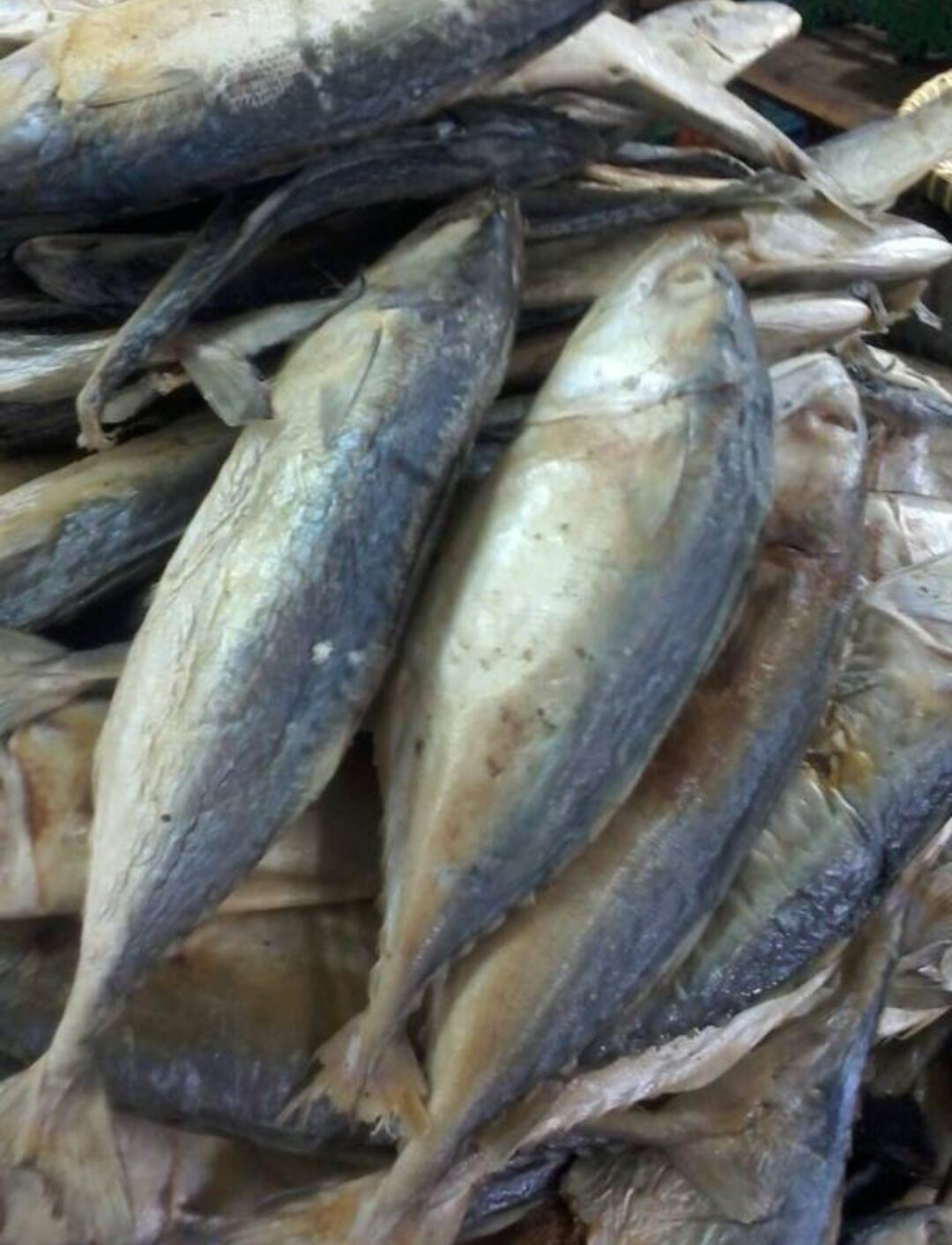 ikan asin gembung 500gr | Lazada Indonesia