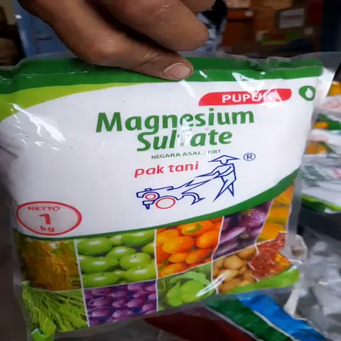Pupuk Magnesium Sulfate Pak Tani 1kg | Lazada Indonesia