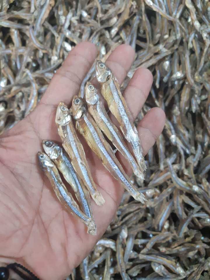 ikan TERI TAWAR KERING /Tidak asin ; 1KG best seller | Lazada Indonesia