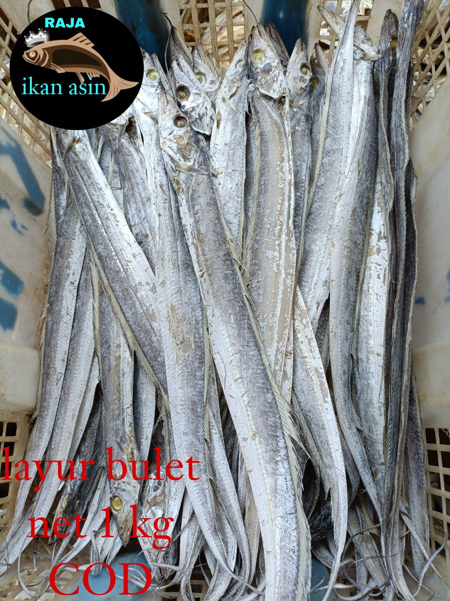 ikan asin layur bulat 1 kg | Lazada Indonesia