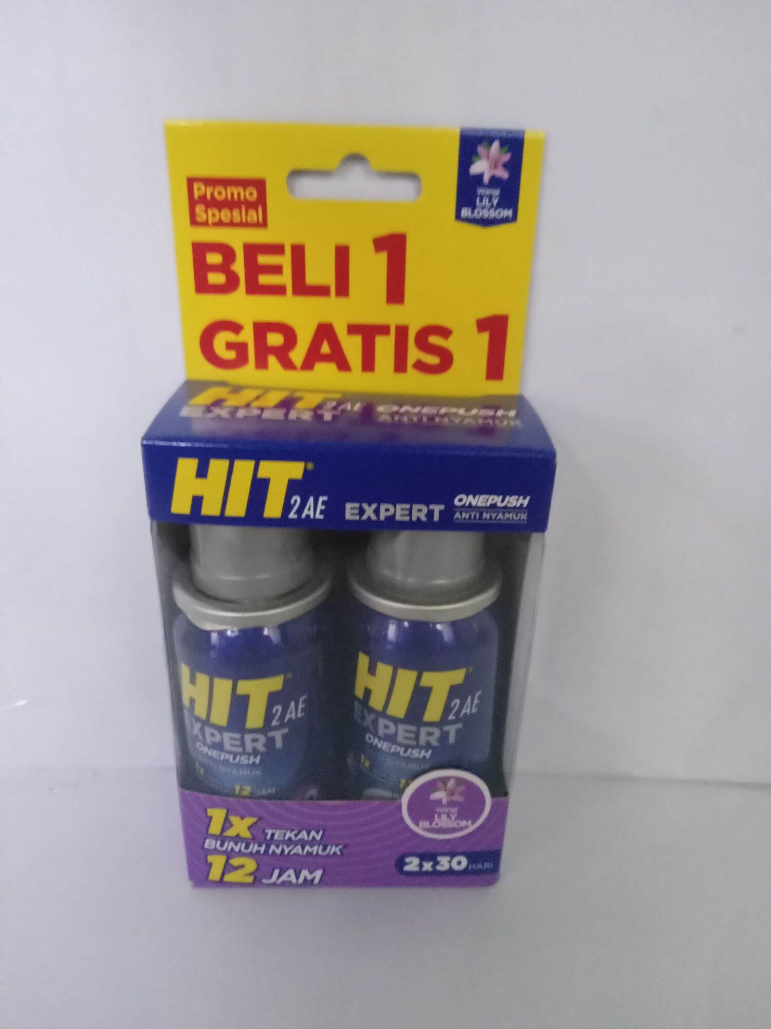 obat nyamuk spray hit one push buy 1 get 1 4 varian termurah | Lazada ...