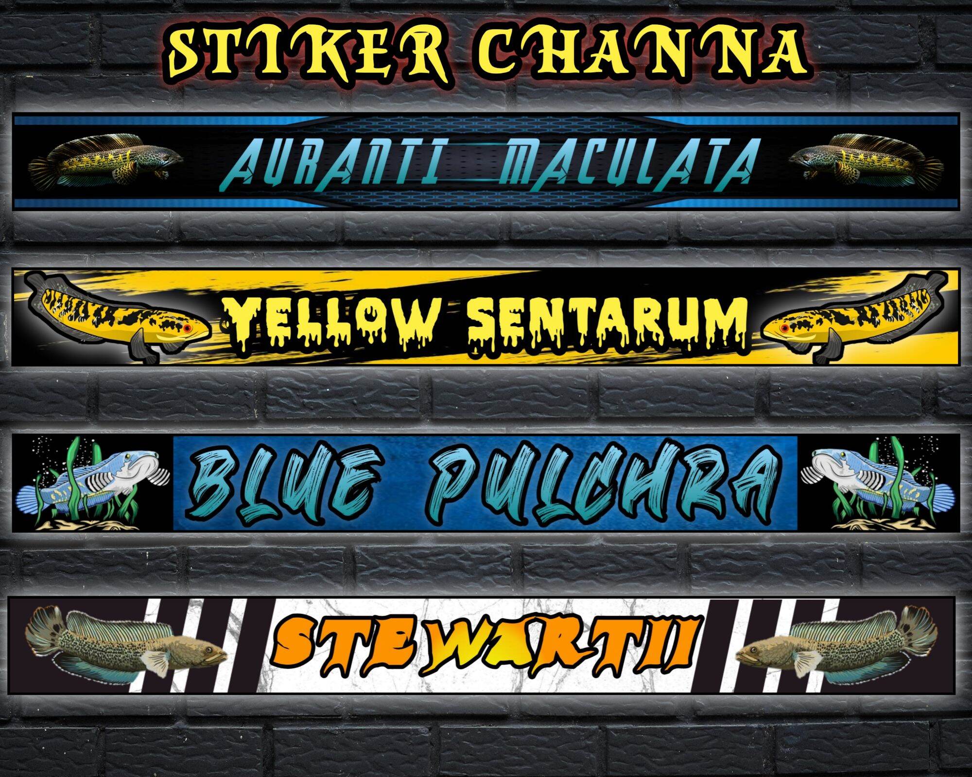 STIKER LIS/LIST AKUARIUM/AQUARIUM IKAN CHANNA | Lazada Indonesia