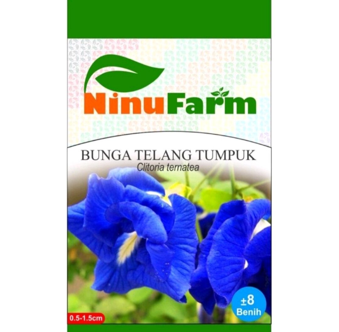 Benih BUNGA TUMPUK / Bibit BUNGA TELANG TUMPUK | Lazada Indonesia