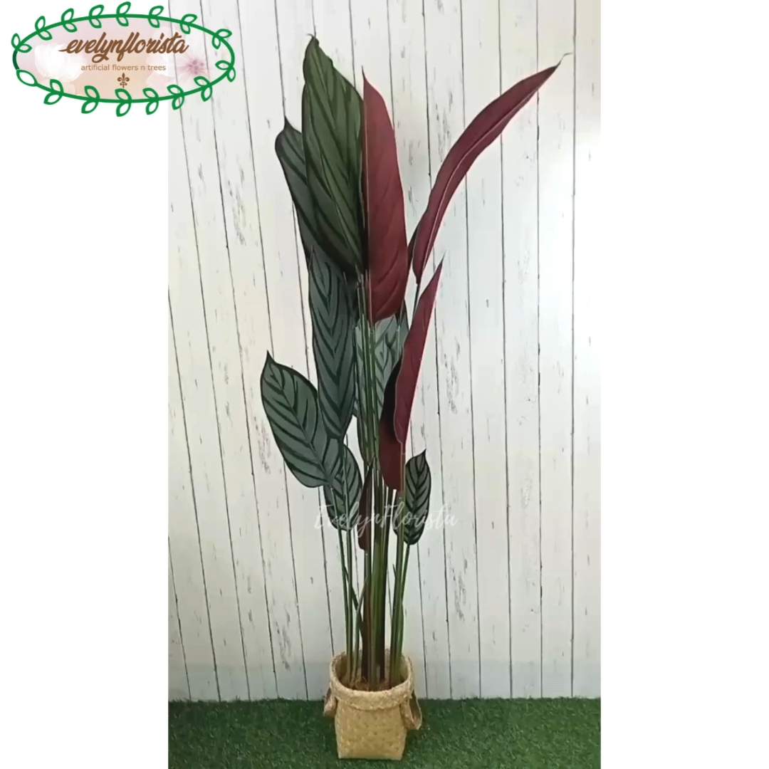 Pohon Daun Calathea Ungu T150 Latex Artificial Pot Dasar Hitam Cover ...