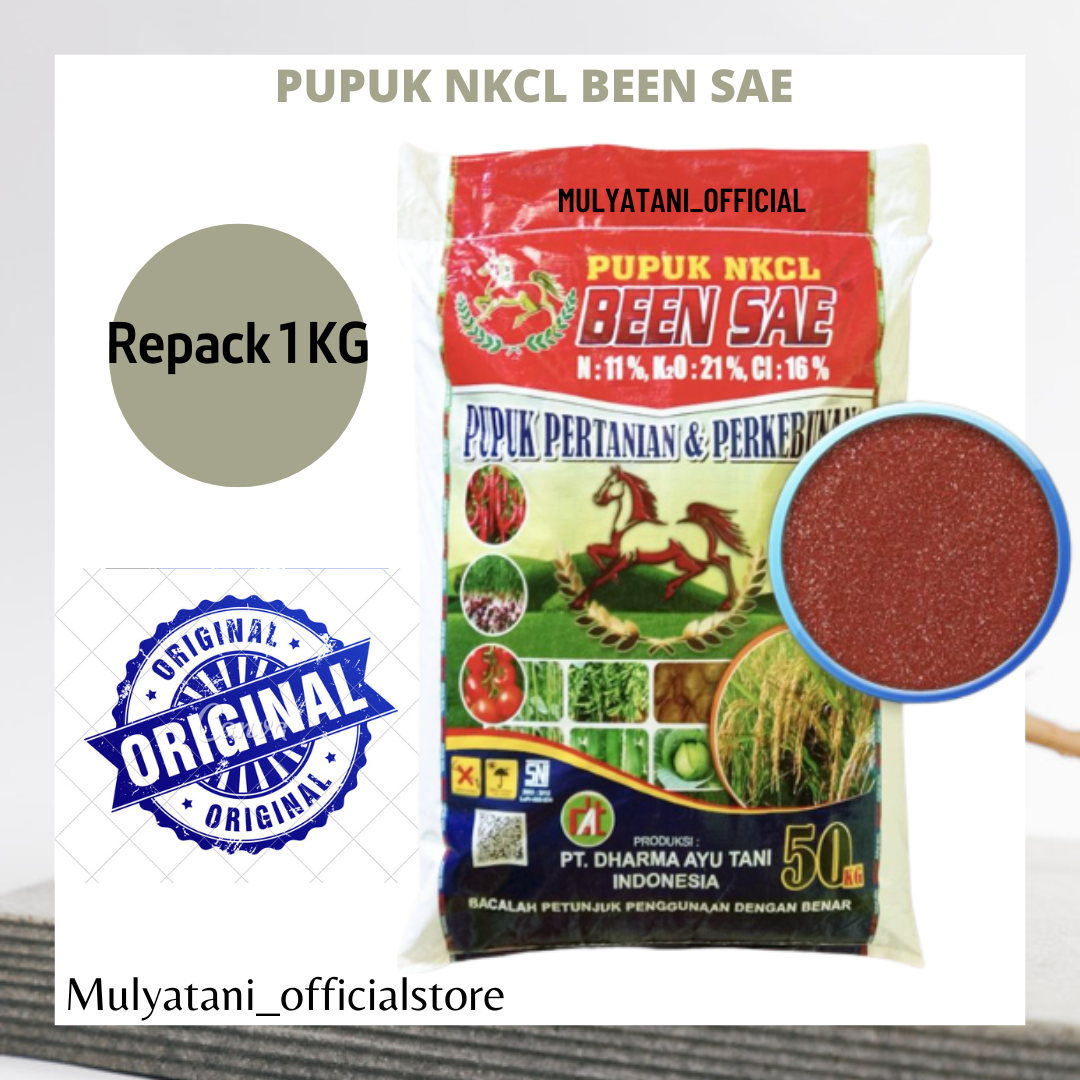 Pupuk NKCL Been sae Pupuk KCL Kuda Ecer Repack 1 KG Original | Lazada ...