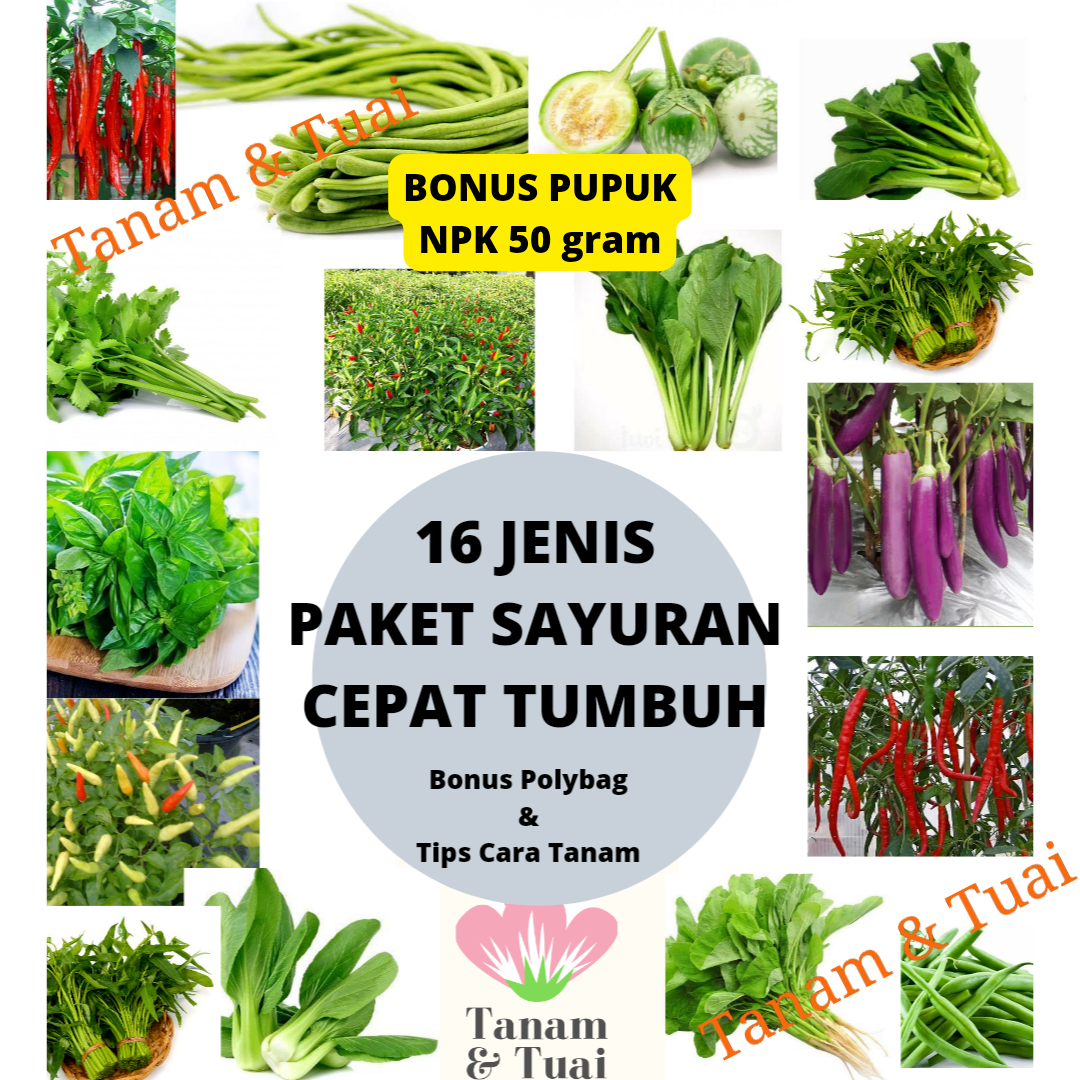 16 Jenis Paket Benih Sayuran Lengkap Cepat Tumbuh untuk Pemula | Lazada ...