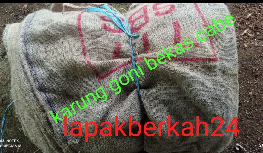 KARUNG GONI BEKAS CABE DAPAT 3 KARUNG bisa untukdi bikin kerajinan | Lazada Indonesia