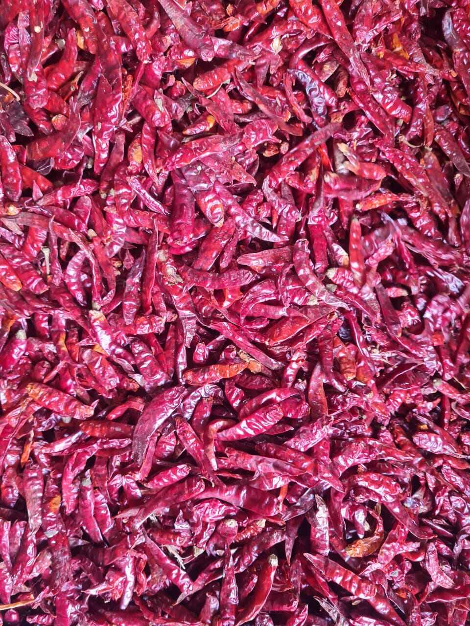 Cabe Rawit Kering/japlak super Pedas kemasan 1 kg | Lazada Indonesia