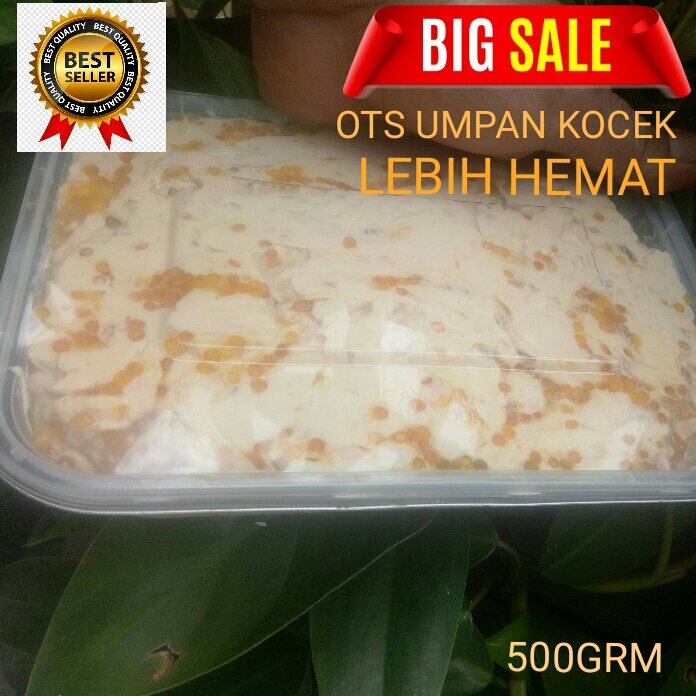 OTOT sapi 1/2 kilo Umpan Kocek galatama lele siap pakai | Lazada Indonesia