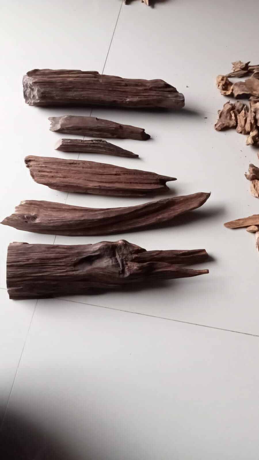 Kayu Gaharu Asli Papua Merauke Ouds Agarwood Bukhur bonggol Tenggelam ...