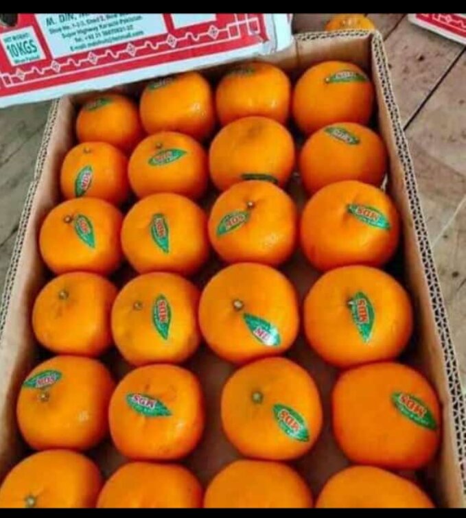 JERUK KINO 1 KG | Lazada Indonesia