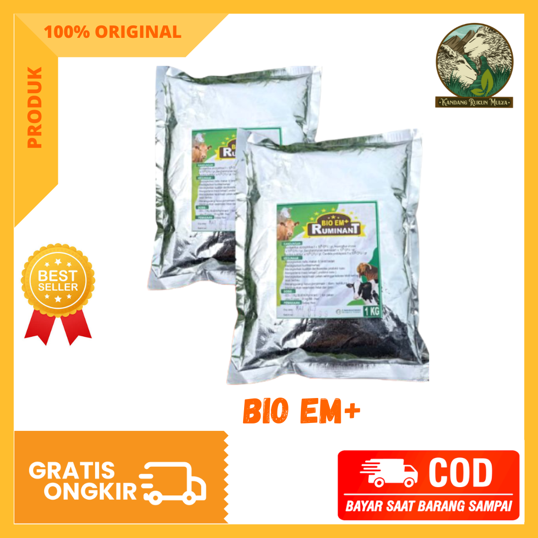 Probiotik Kering / Serbuk Bio EM+ Ruminant Untuk Kambing Sapi Kerbau ...