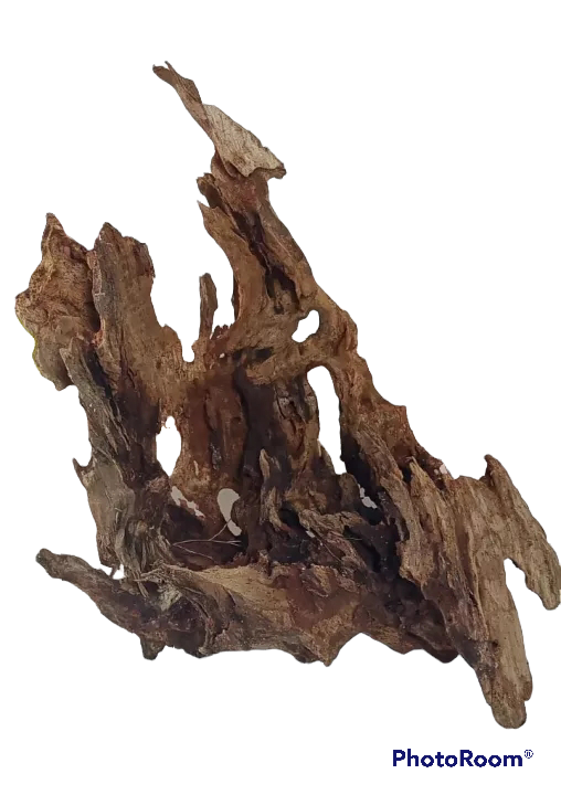 aquarium/aquascape kayu rentek hiasan aquarium | Lazada Indonesia