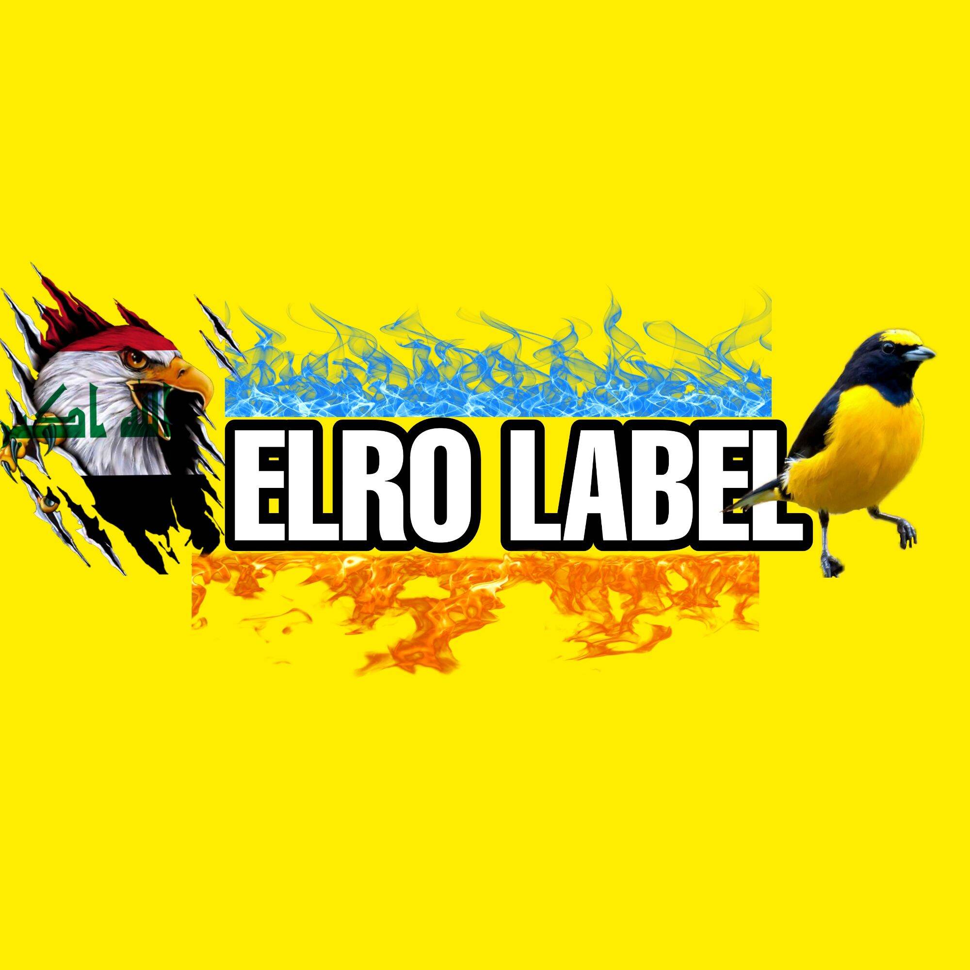 ELRO LABEL Indonesia Toko Resmi Online | Beli Sekarang di Lazada