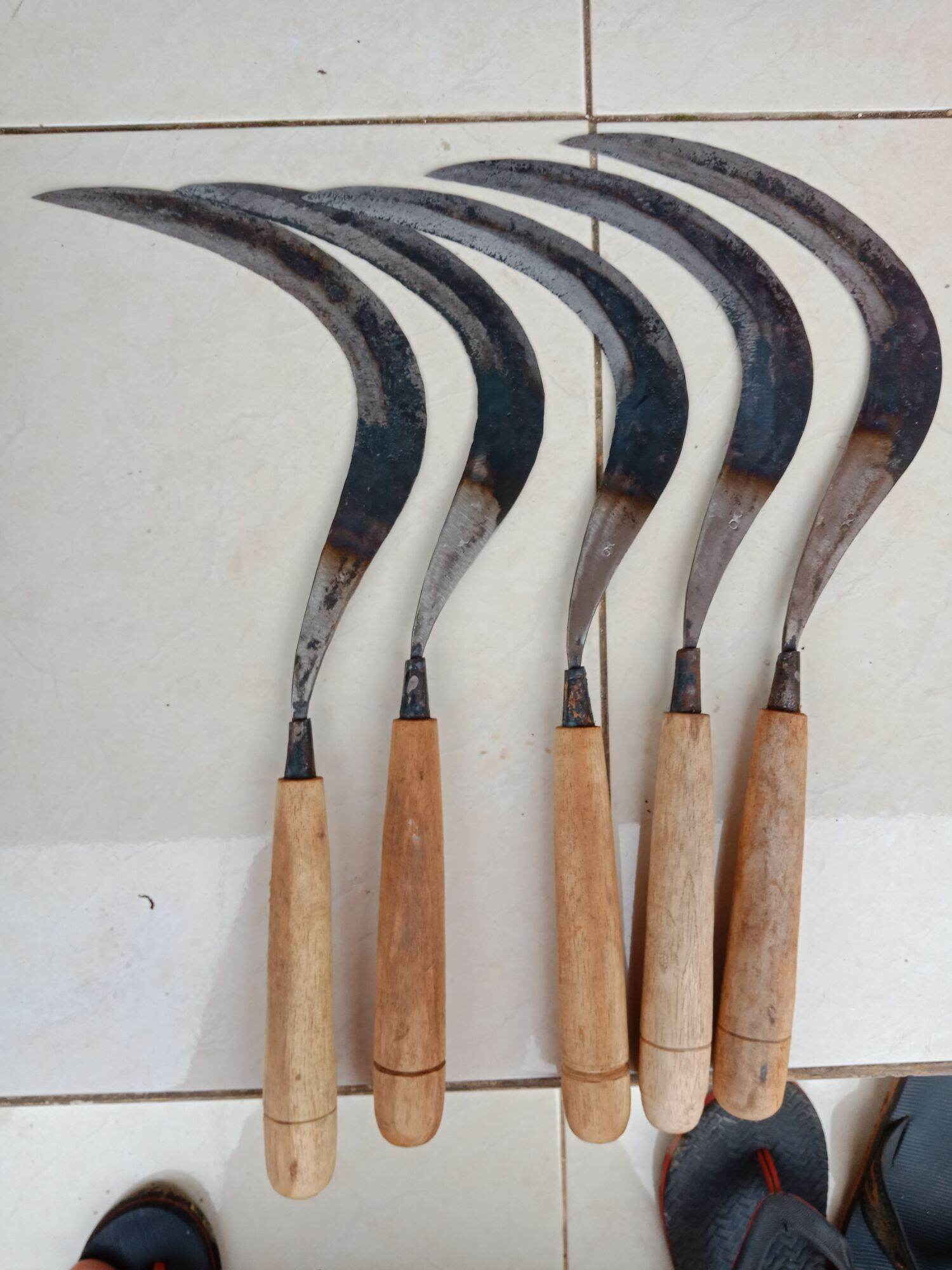 Arit padi / pengarit padi | Lazada Indonesia