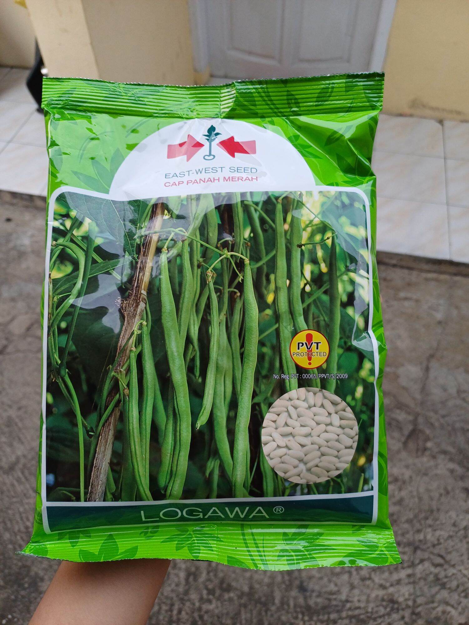 Benih Buncis Logawa Cap Panah Merah | Lazada Indonesia