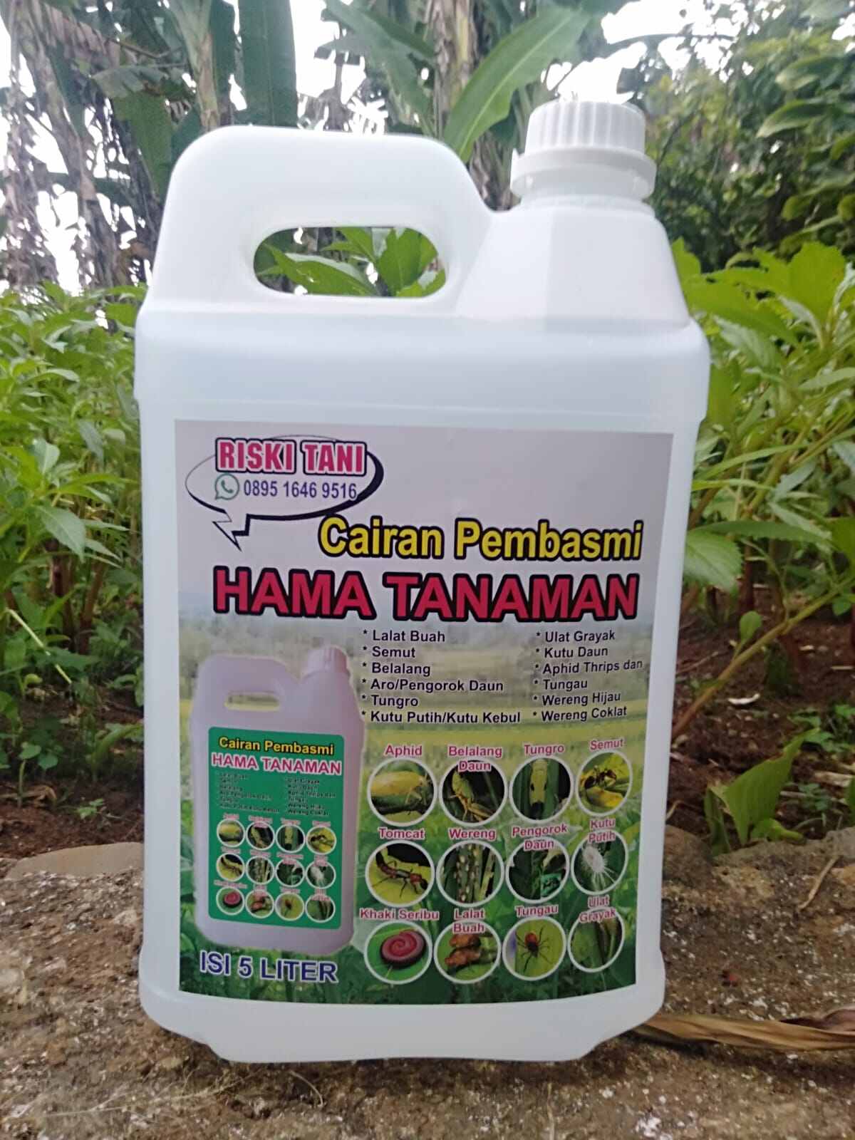 cairan hama tanaman/buah obat siap pakai isi (5 liter) | Lazada Indonesia