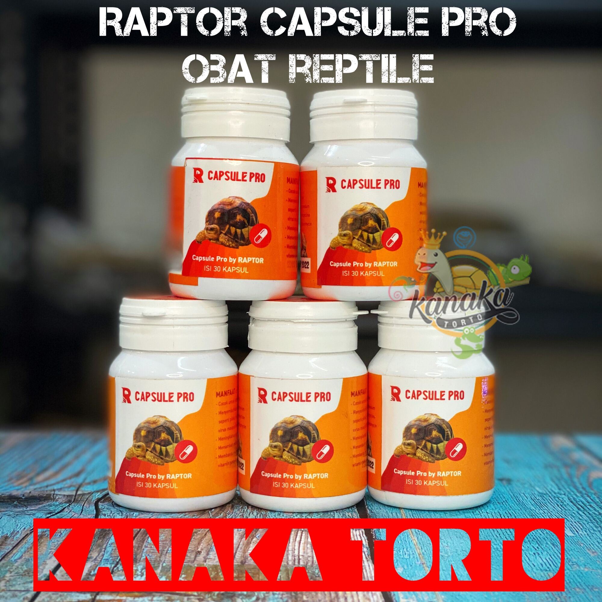 Raptor Capsule Pro 30 Kapsul Obat Reptil Lemas Sakit Kadal Kura Torto ...