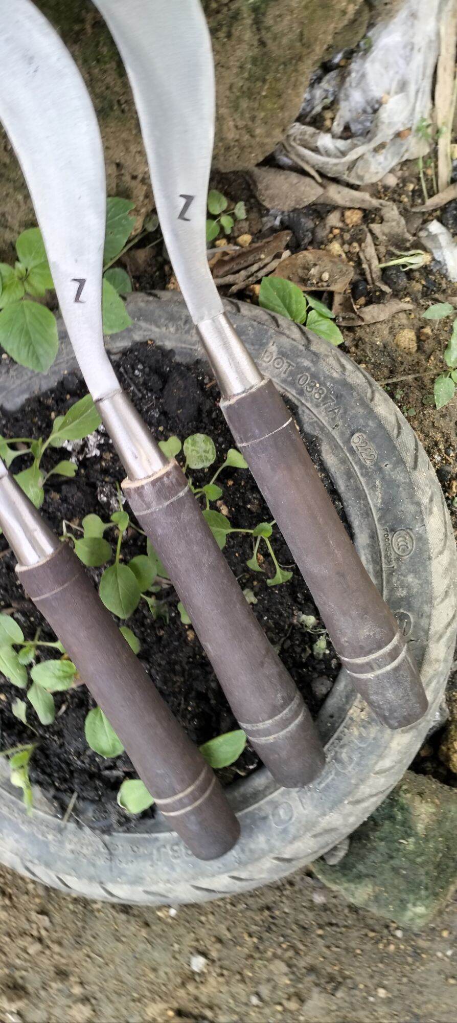arit rumput asli Madura,bahan full baja,spek utk rumput dan ranting ...