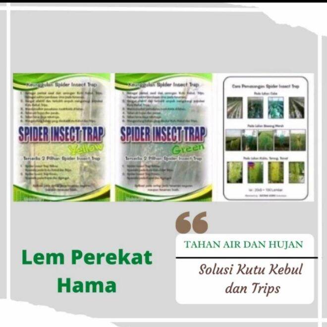 SPIDER INSECT lem perekat serangga,kutu kebul untuk pertanian terlaris ...