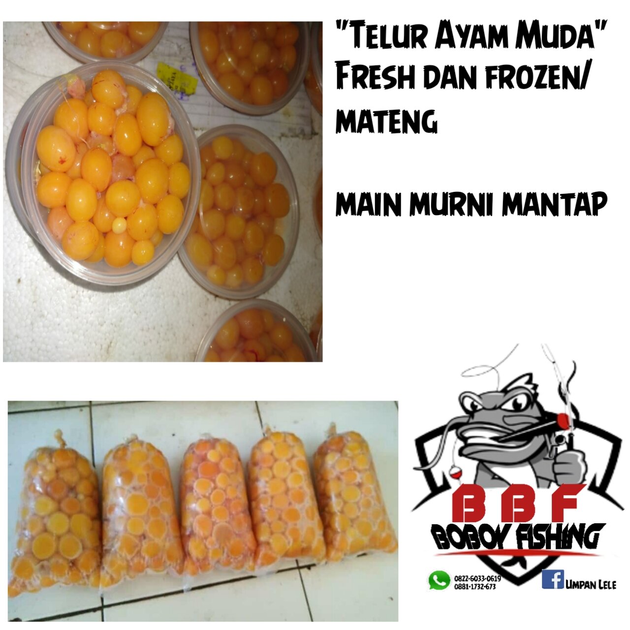 Telur Ayam Muda 1/2Kg (uritan) | Lazada Indonesia
