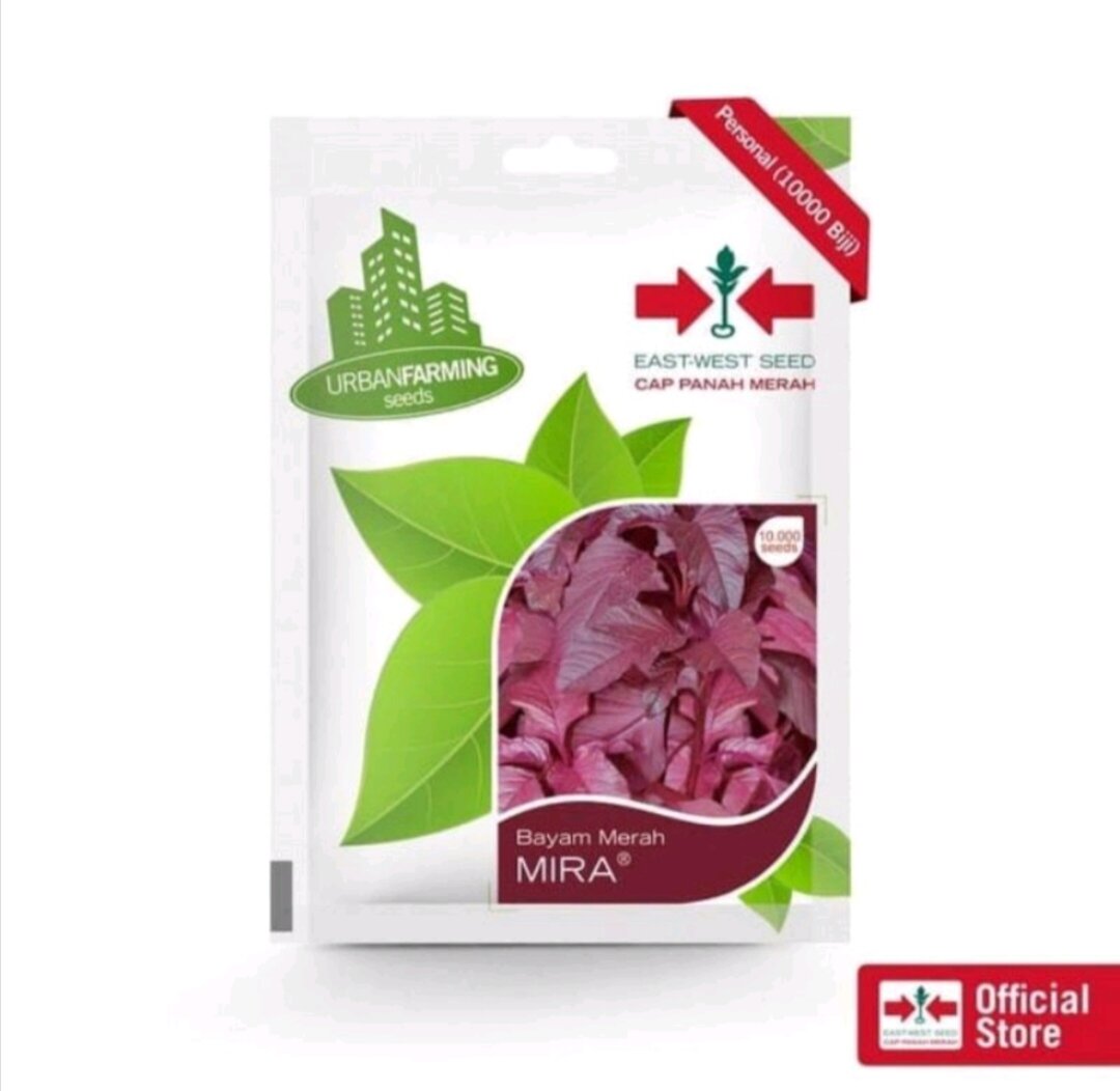 Benih Bayam Merah Mira PT East West Cap Panah Merah 10000 Seed | Lazada ...