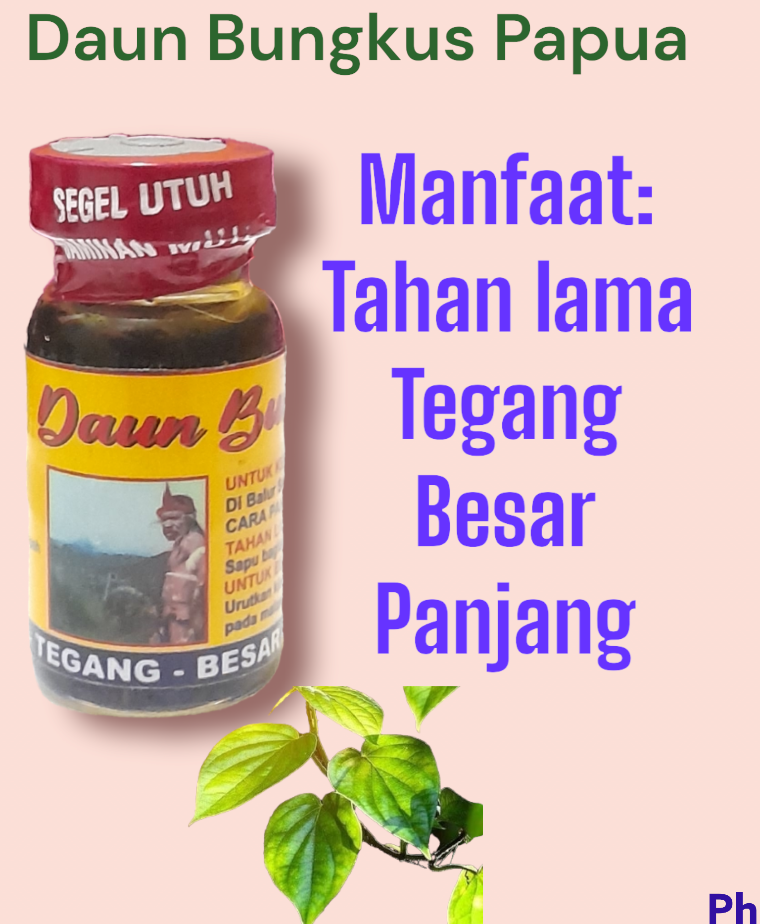 Minyak Daun Bungkus Papua (obat kejantanan, tahan lama, tegang, besar ...