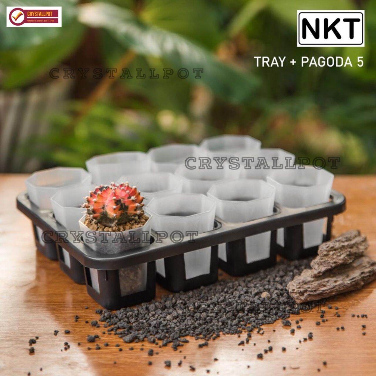 1 set tray + POT NKT PAGODA 5CM BENING TRANSPARAN | tray semai bibit ...