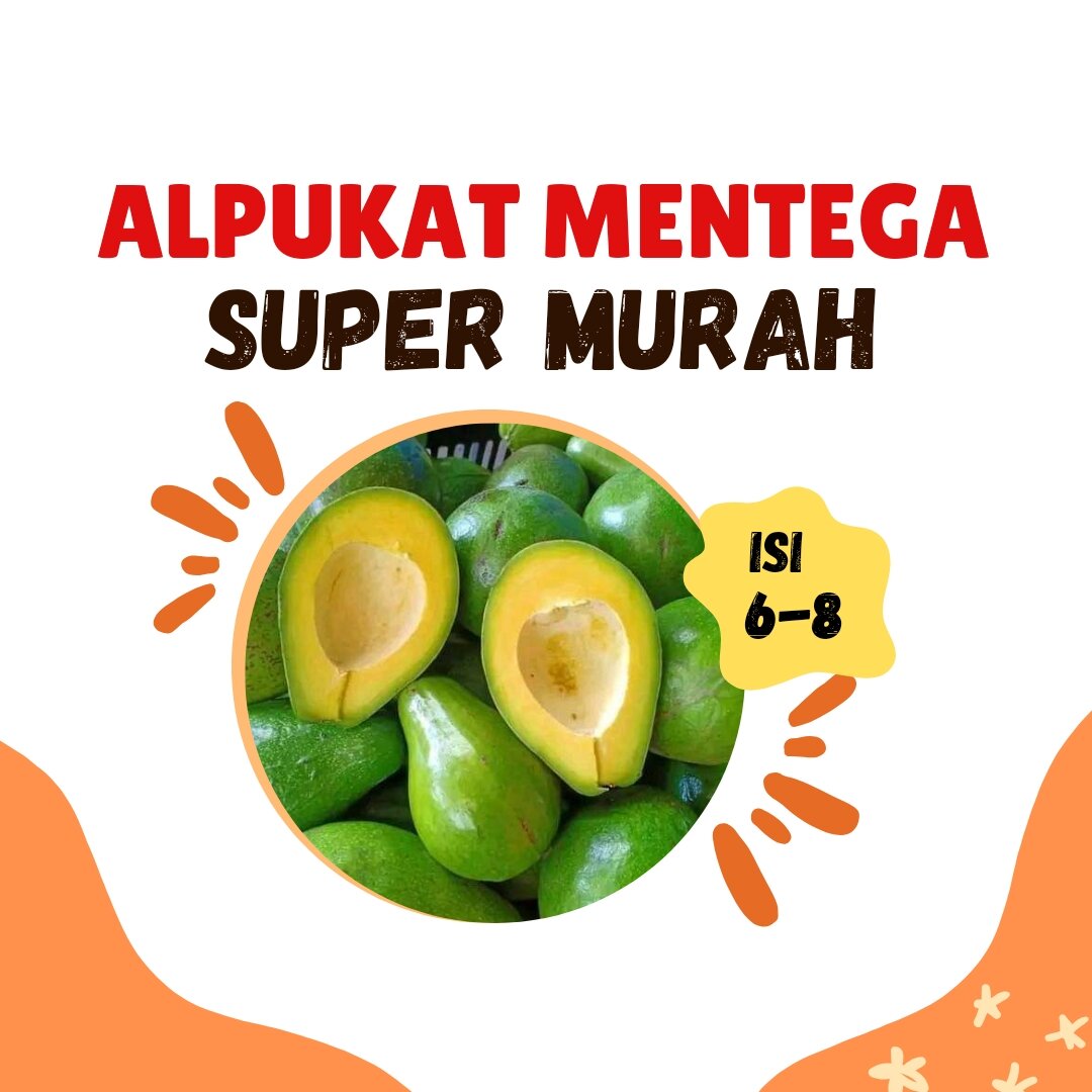 Buah Alpukat - Alpukat mentega - Alpukat Mentega Super Murah | Lazada ...