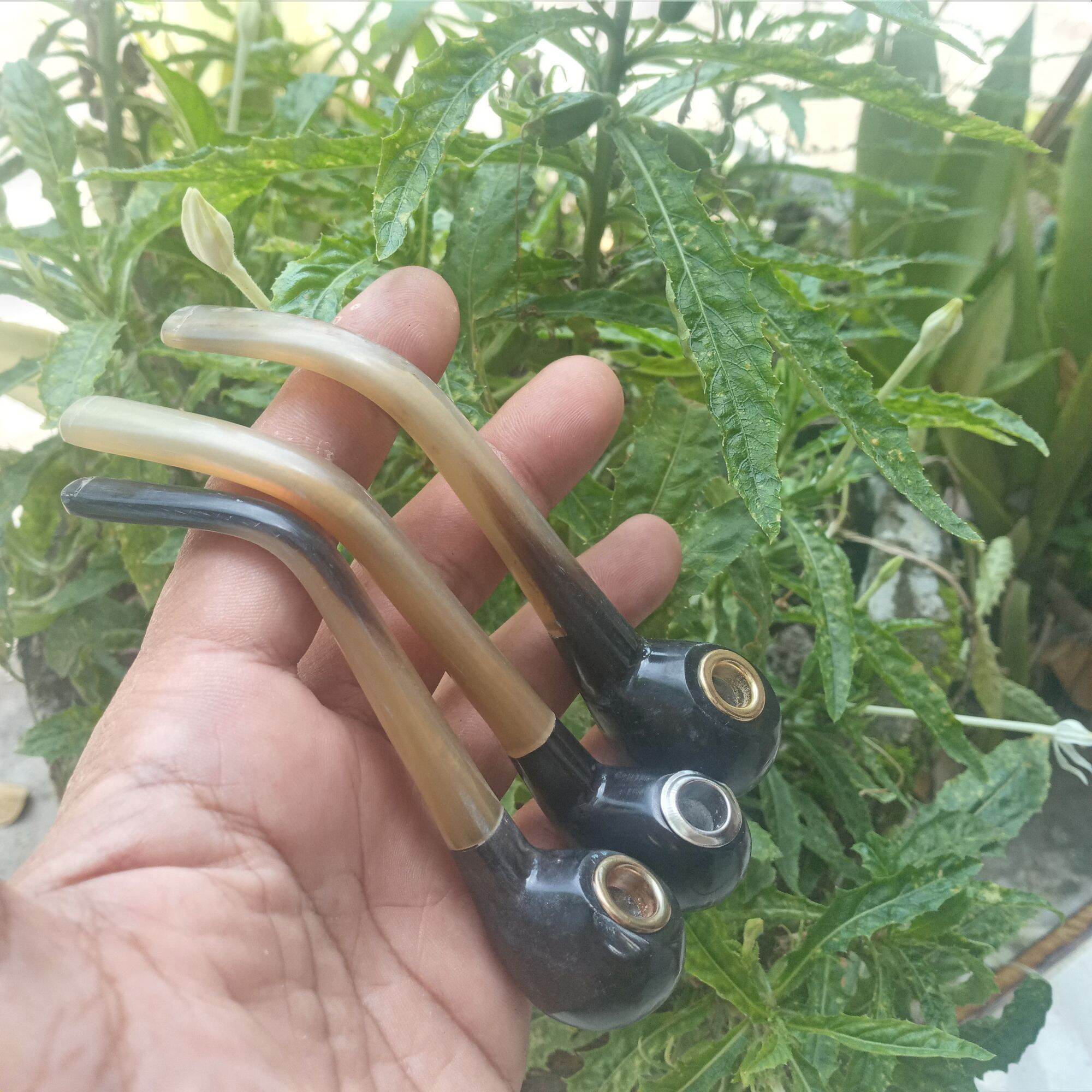 cangklong Rokok Tanduk kerbau Unik | Lazada Indonesia