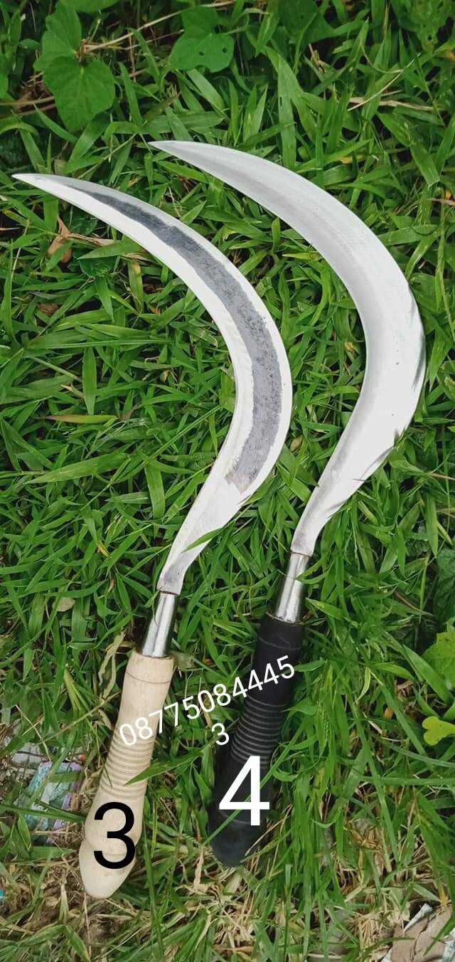 arit rumput madura | Lazada Indonesia