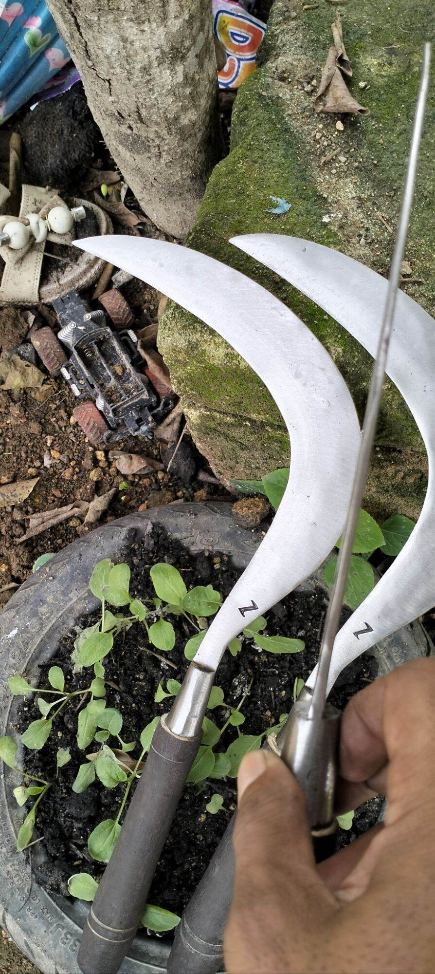 arit rumput asli Madura,bahan full baja,spek utk rumput dan ranting ...
