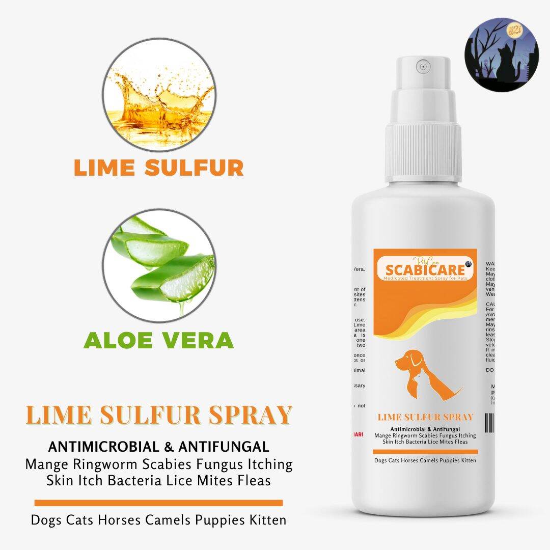 SCABICARE Spray Anti Scabies Bakteri Kutu Jamur dan Masalah Kulit ...