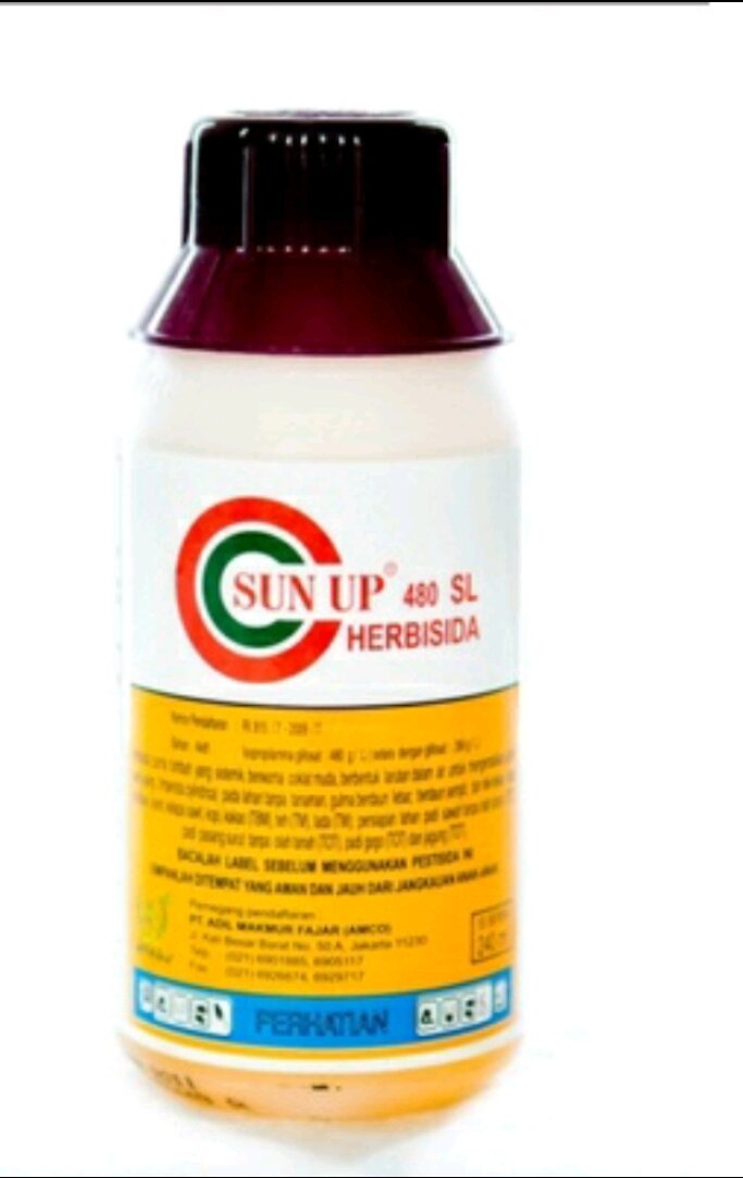 Herbisida SUN UP 480SL kemasan 240ML | Lazada Indonesia