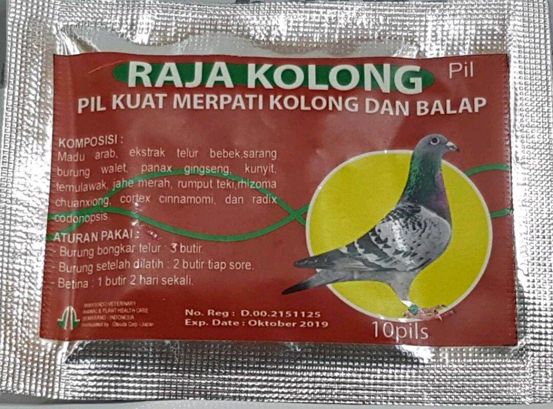 2 BKS RAJA KOLONG 20 Pil Original doping vitamin obat Pil kuat Merpati ...