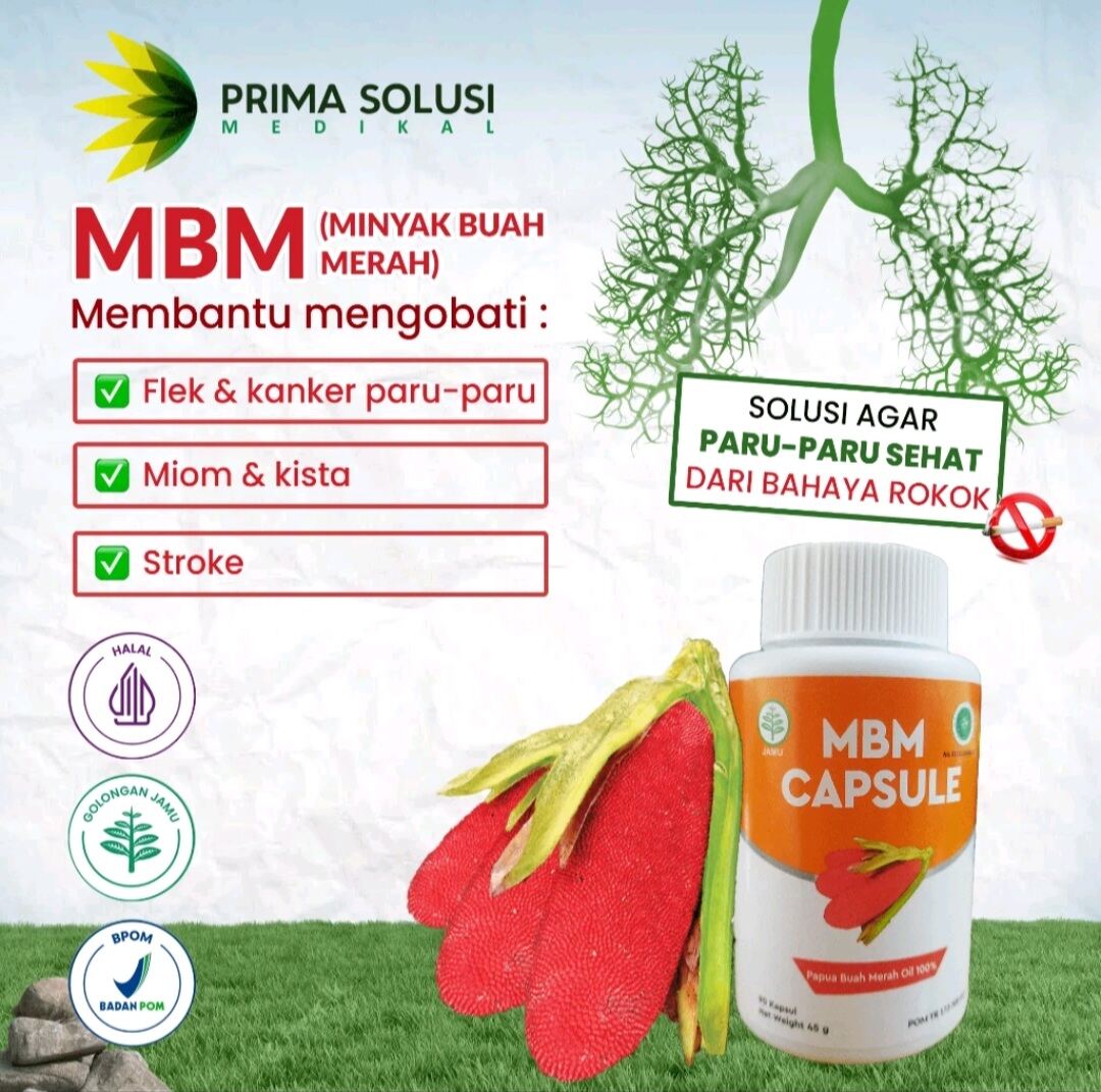MBM Minyak Buah Merah Capsule Obat Herbal HIV Obat paru paru flek ...